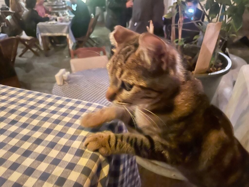 The Ultimate Food Guide To Istanbul - Eating The Globe-Food and Travel